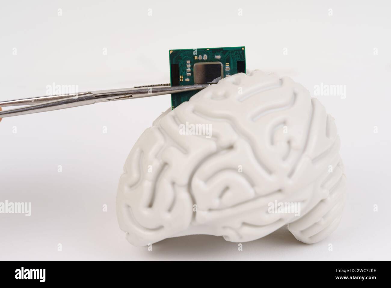 Human brain and computer chip. Microprocessor in the head, on a white ...