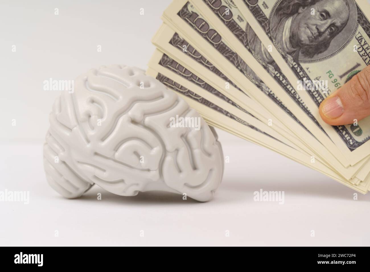 On a white background lies a brain with dollars next to it. Smart brain ...