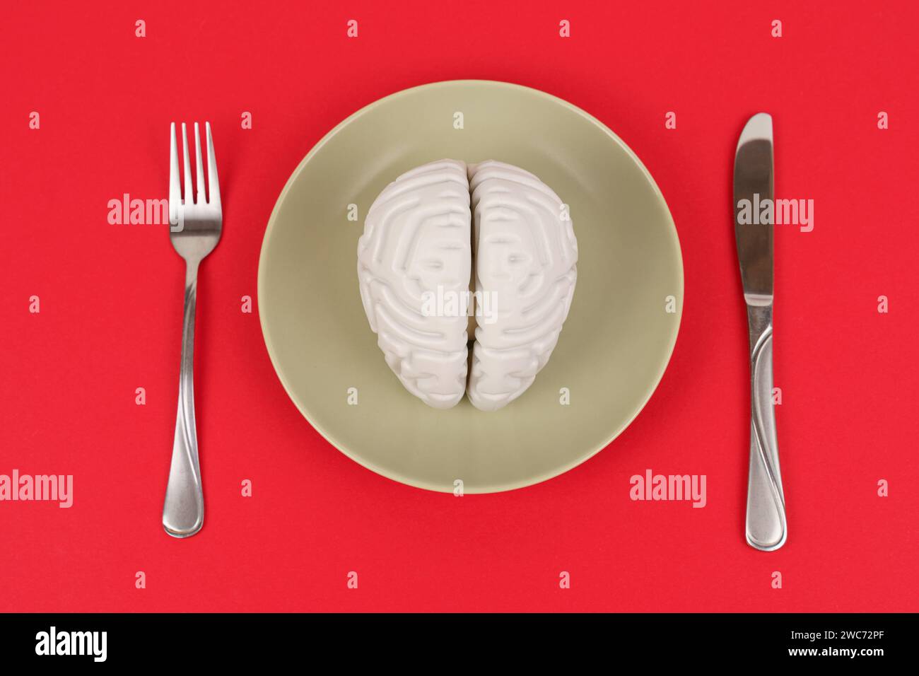 A white model of the human brain lies in a plate on a red background ...