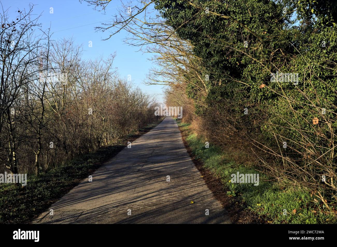 Paved path in a park Stock Photo - Alamy