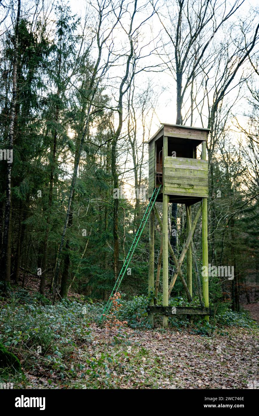 wooden lookout tower in a forest Stock Photo - Alamy