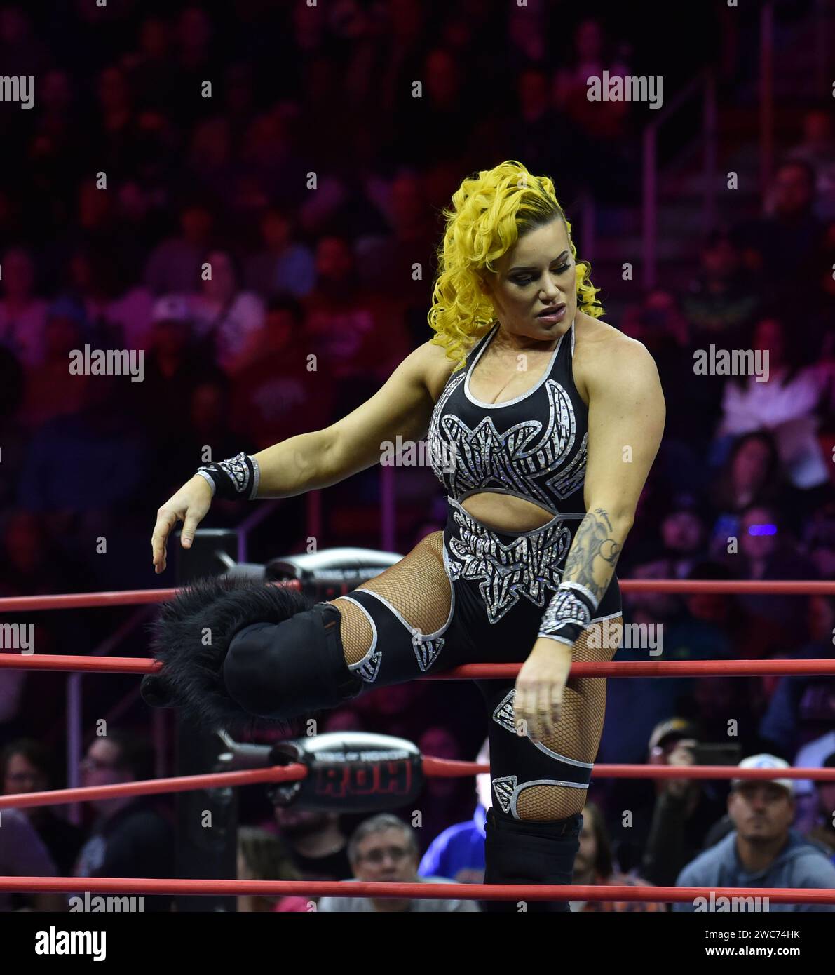 Taya valkyrie hi-res stock photography and images - Alamy