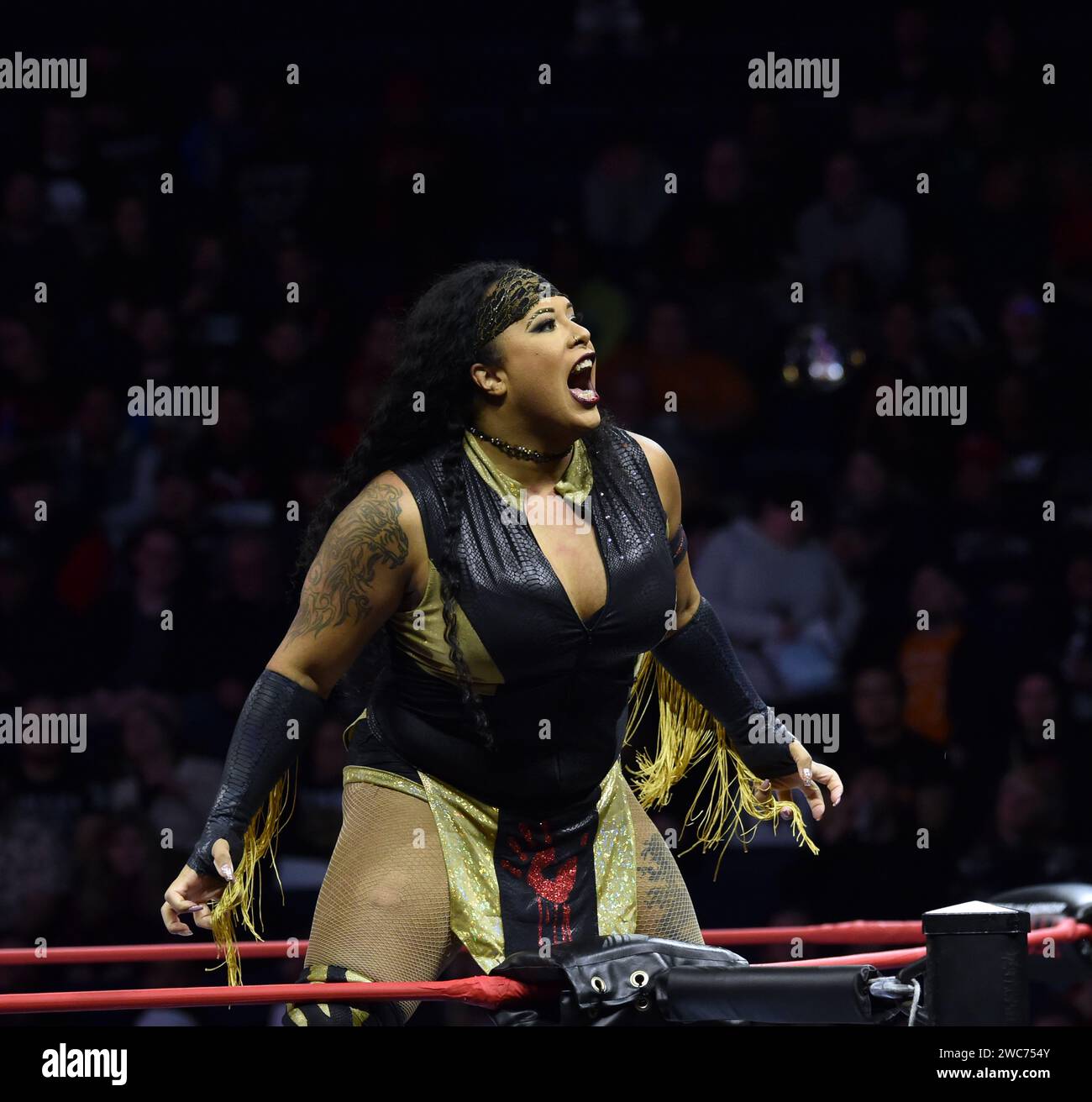 Nyla hi-res stock photography and images - Alamy