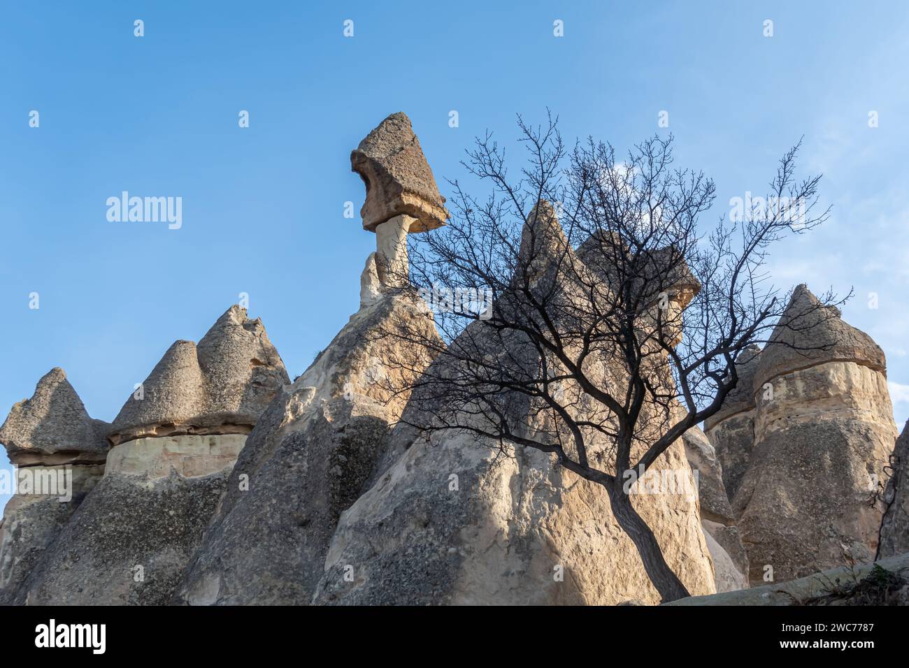 Pasabag valley in Cappadocia with fairy chimneys rock formations ...
