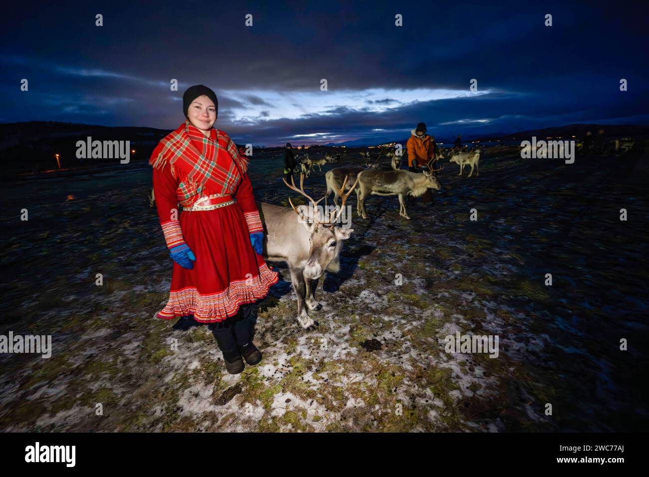 Solheim, Troms Og Finnmark, Norway. 9th Jan, 2024. A Sami shepherdess ...