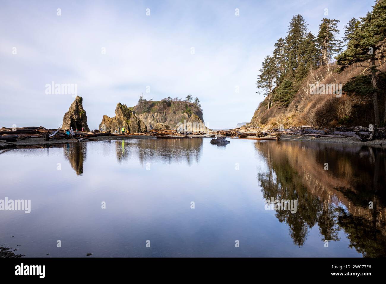 WA23998-00...WASHINGTON - Reflections in a pond on Cedar Creek shorly ...