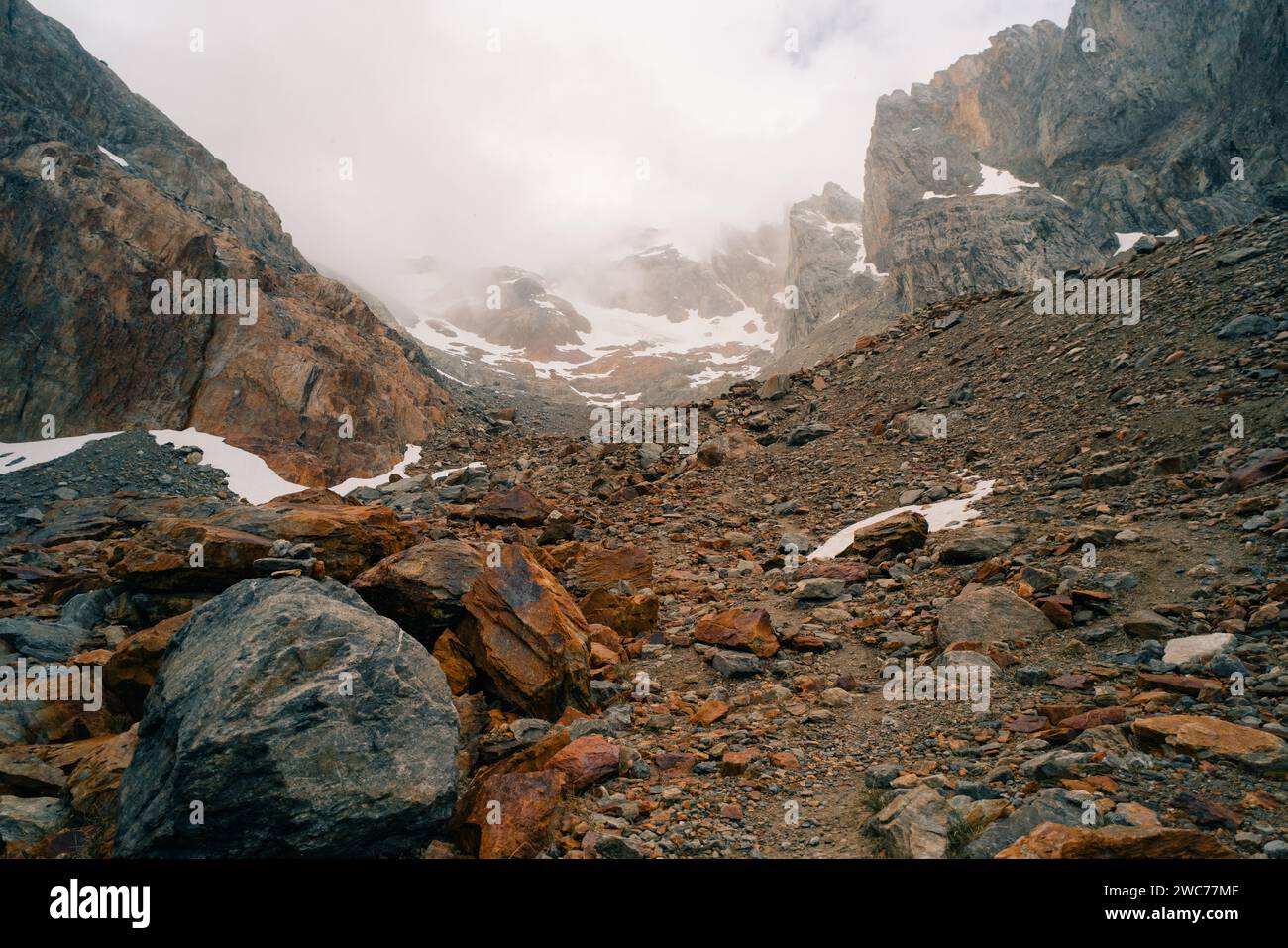 Ojo albino hi-res stock photography and images - Alamy