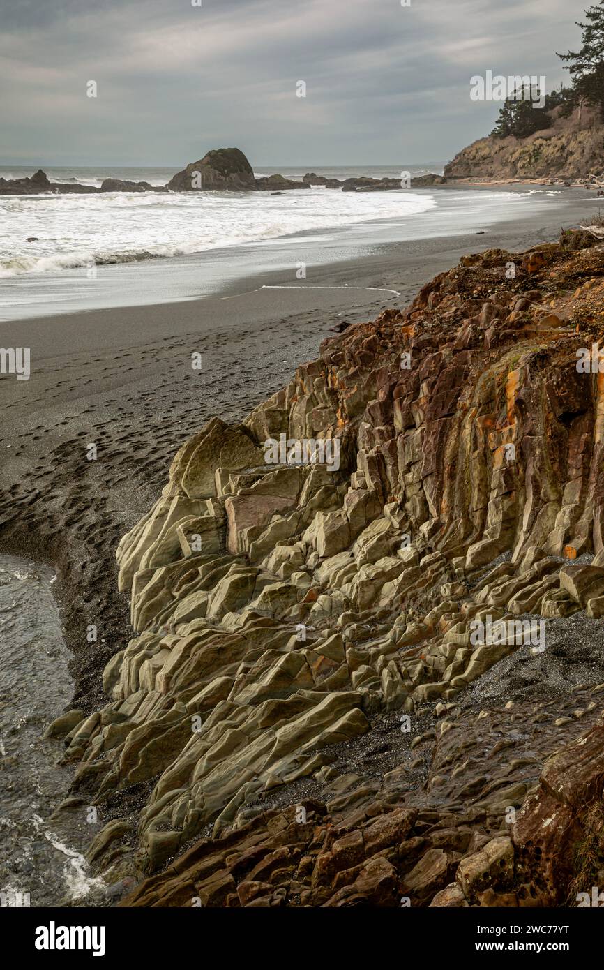 WA25010-00...WASHINGTON - Tilted, layered sandstone at Beach 4 on the ...