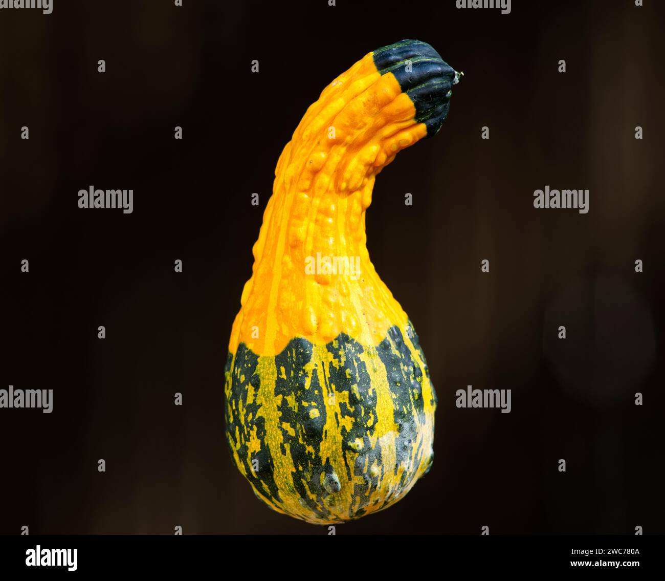 Various types of gourds Stock Photo - Alamy