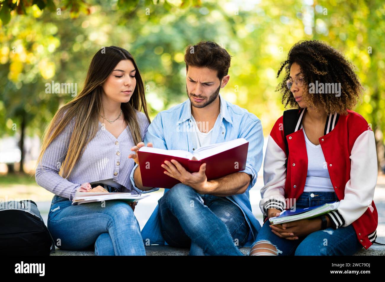 Multiethnic students hi-res stock photography and images - Alamy