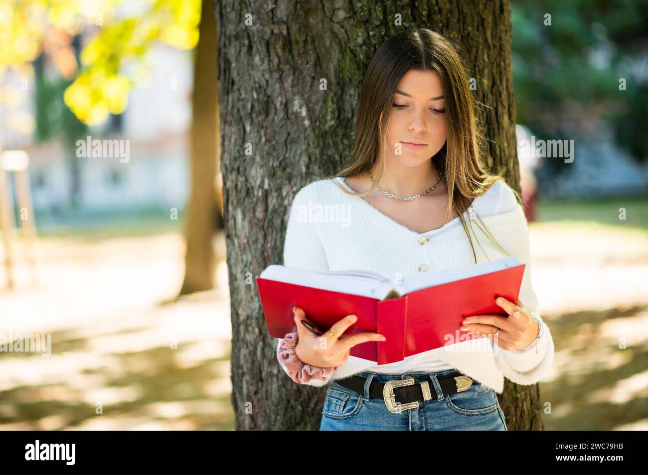 Teen reading book in class hi-res stock photography and images - Alamy