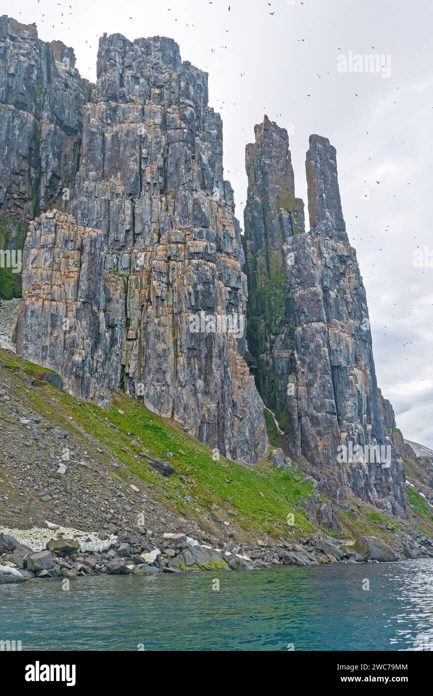 Swarms of Birds on Nesting Cliffs in the High Arctic at Alkefjellet in ...