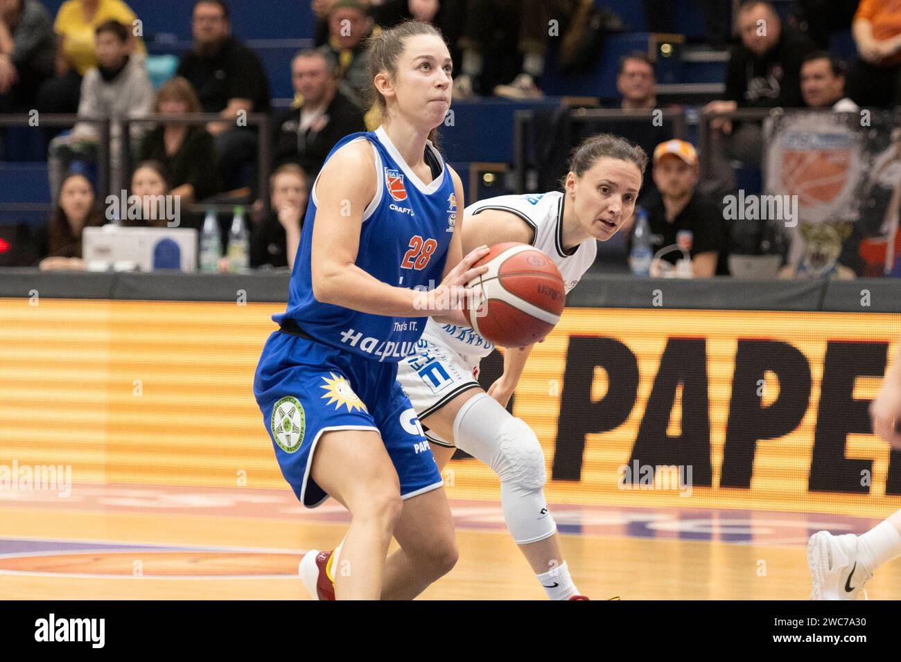 Halle, Deutschland. 14th Jan, 2024. Halle, Deutschland 14. Januar 2024: ...