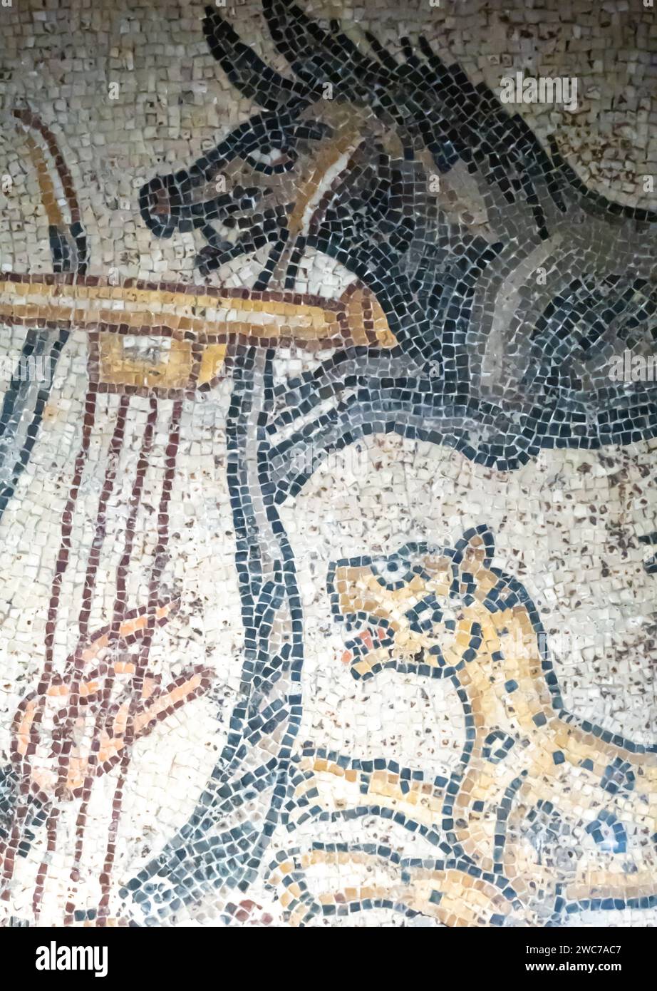 Orpheus Taming Wild Animals . Roman marble mosaic, A.D. 194; Eastern ...