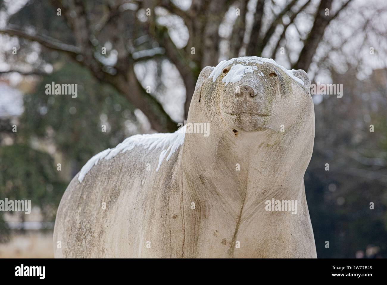 France, Dijon, 10 January 2024, stone sculpture of the bear in the ...