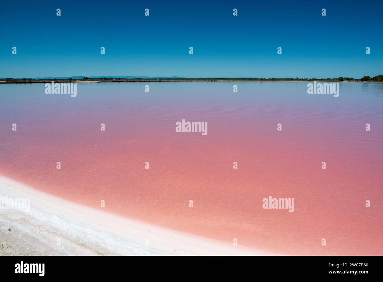Pink salt pond ready for harvest Stock Photo - Alamy