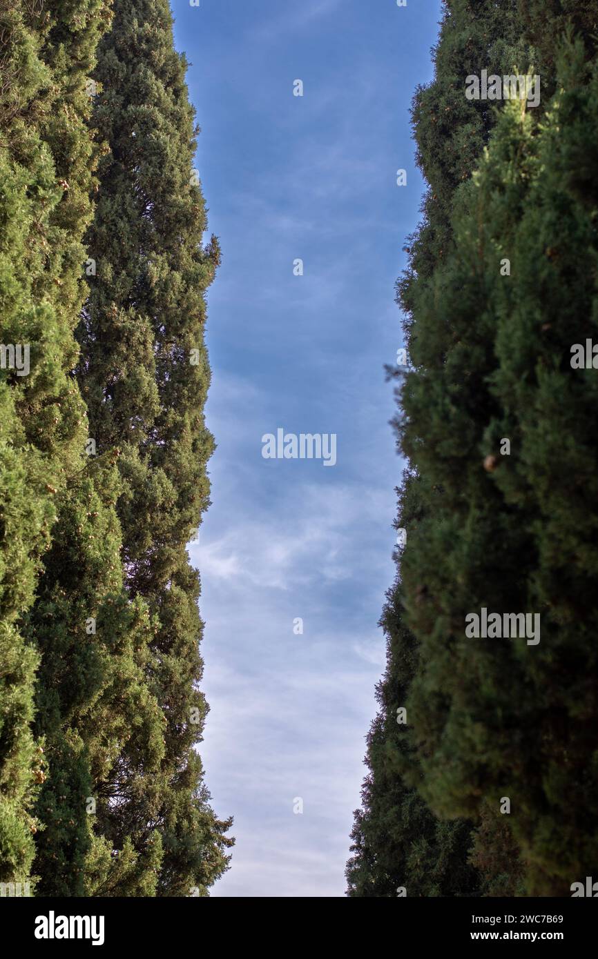 Landscapepaintings hi-res stock photography and images - Alamy