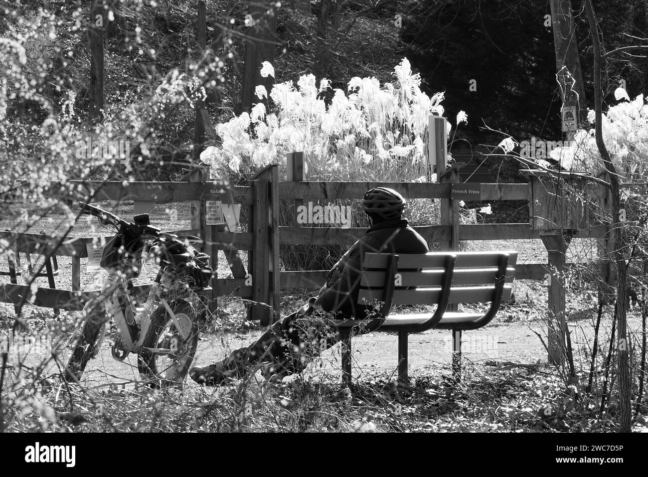The bicyclist is resting on the bench Stock Photo - Alamy