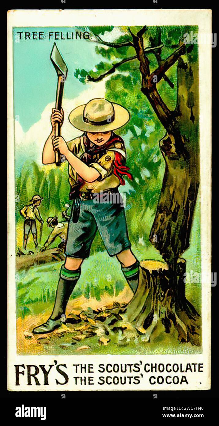 Boy Scouts - Tree Felling - Vintage Tradecard Illustration Stock Photo ...