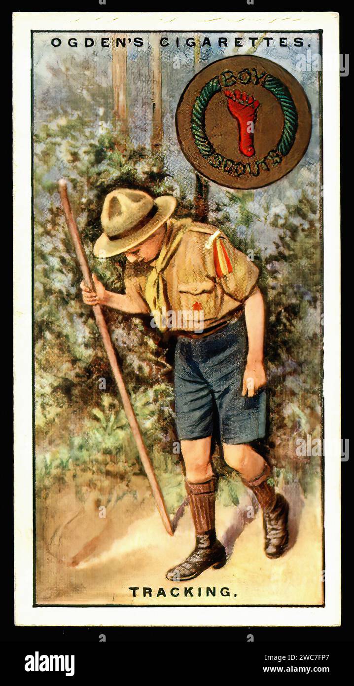 Boy Scouts - Tracking - Vintage Cigarette Card Illustration Stock Photo ...