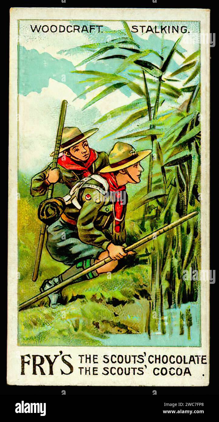 Boy Scout - Stalking - Vintage Trade Card Illustration Stock Photo - Alamy