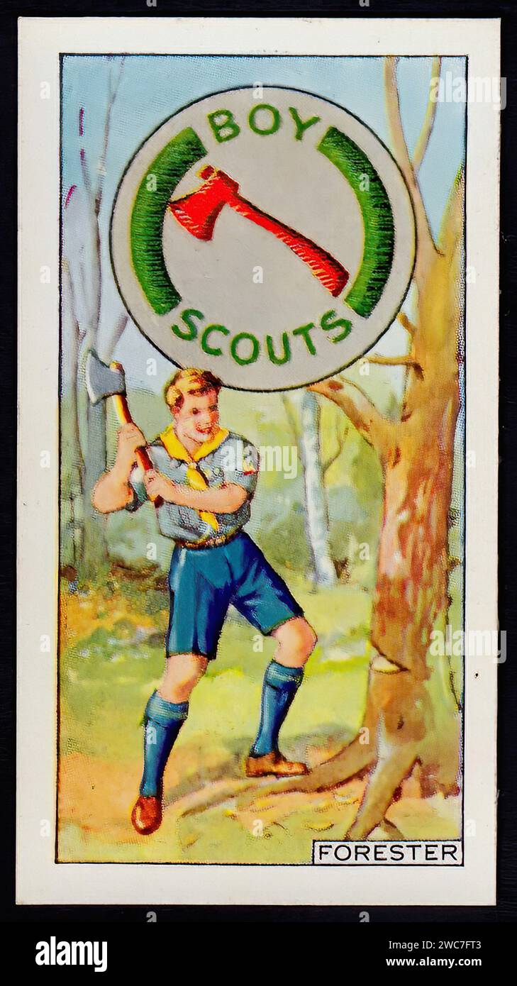 Boy Scout Forester - Vintage Cigarette Card Illustration Stock Photo ...