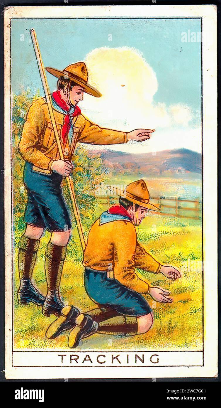 Boy Scouts, Tracking - Vintage British Tradecard Illustration Stock ...