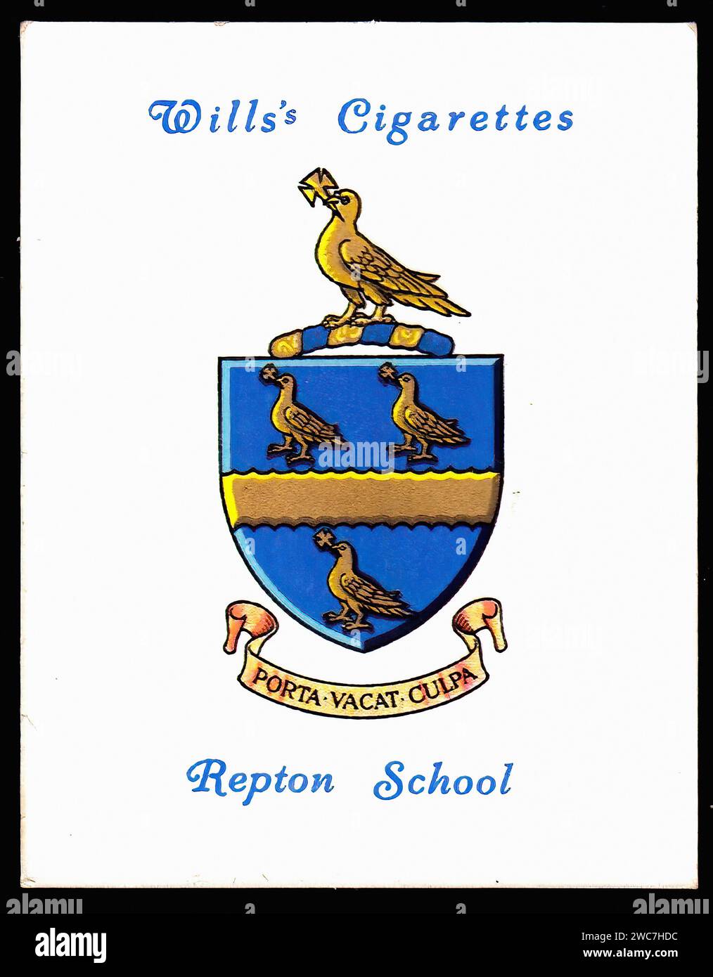 Repton School Logo Repton School Logo & Brand Assets (SVG, PNG And