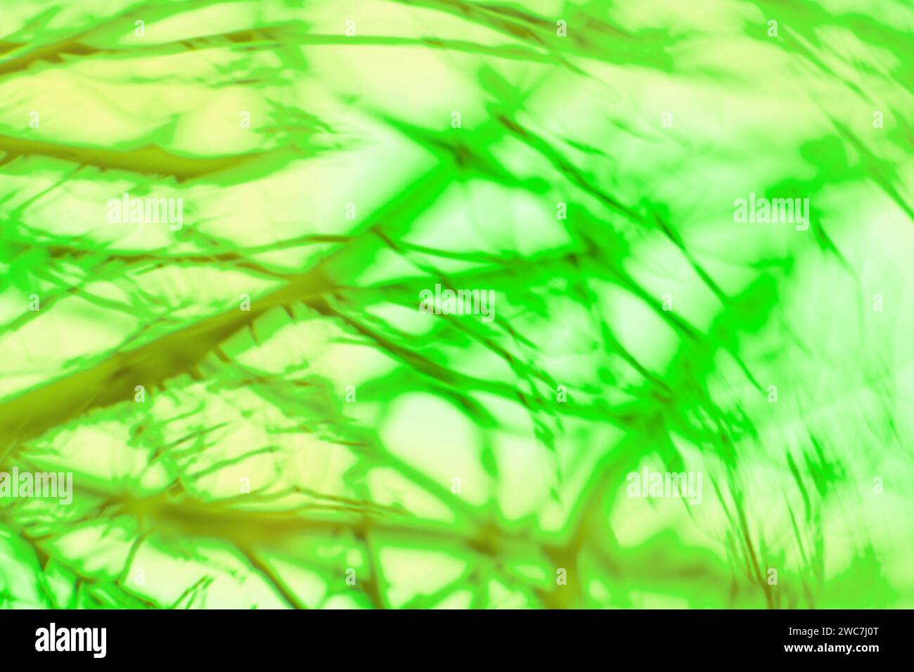 Green slow shutter speed with motion blur effect. Natural green long ...