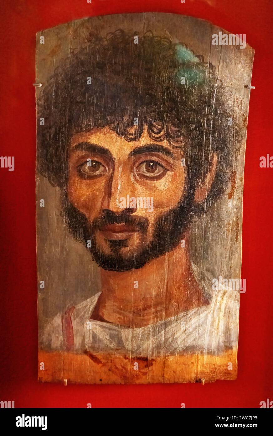 Portrait of a thin-faced, bearded man, Metropolitan Museum of Art in ...