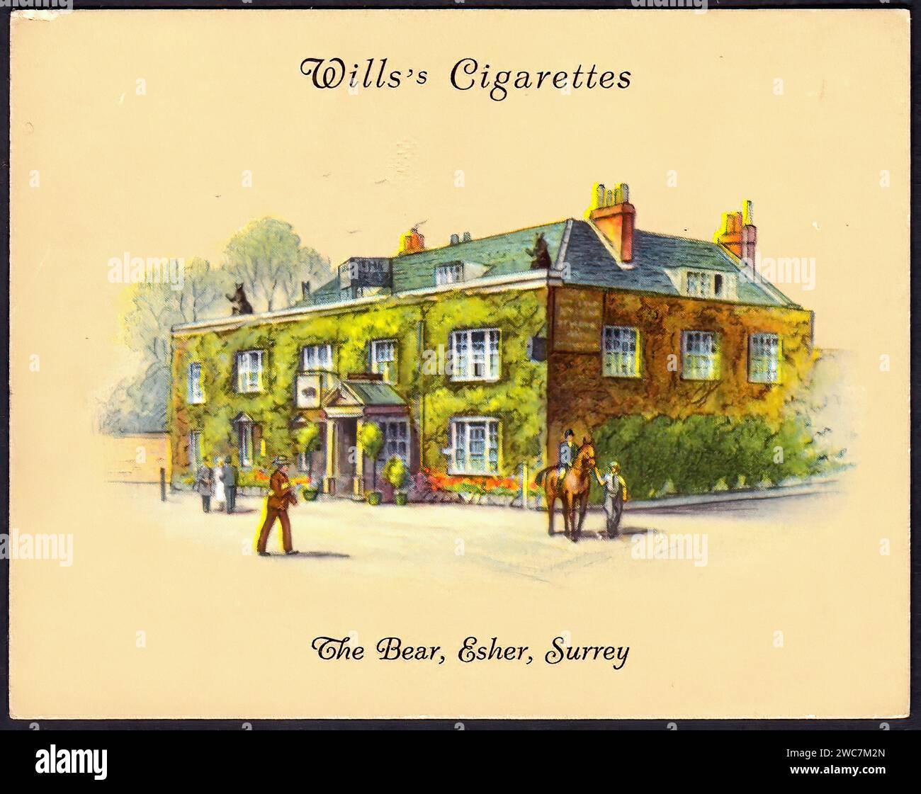 The Bear, Esher - Vintage Cigarette Card Illustration Stock Photo - Alamy