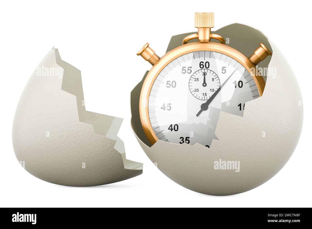 Stopwatch inside broken chicken egg, 3D rendering isolated on white ...