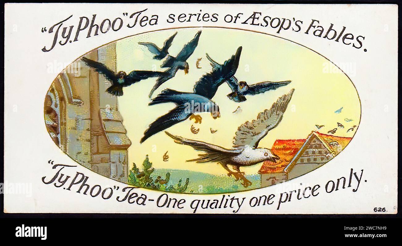 Vintage Typhoo Aesops Fables #17 Illustration Stock Photo - Alamy