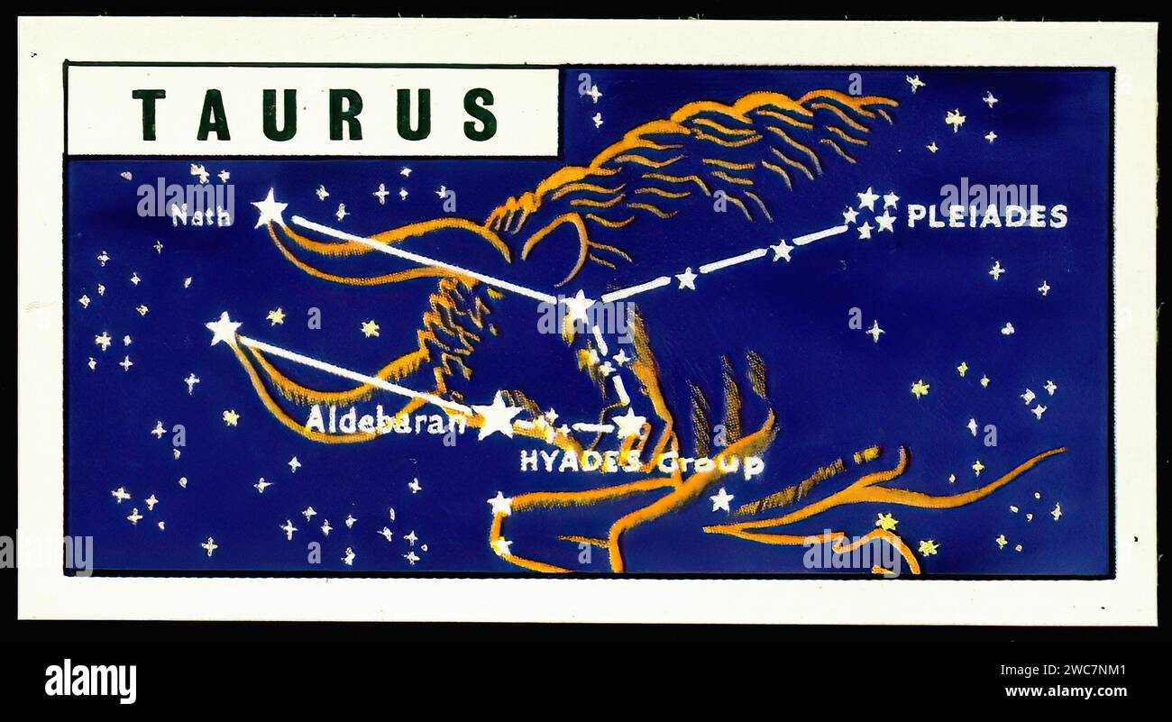 Constellation of Taurus - Vintage Tea Card Illustration Stock Photo - Alamy