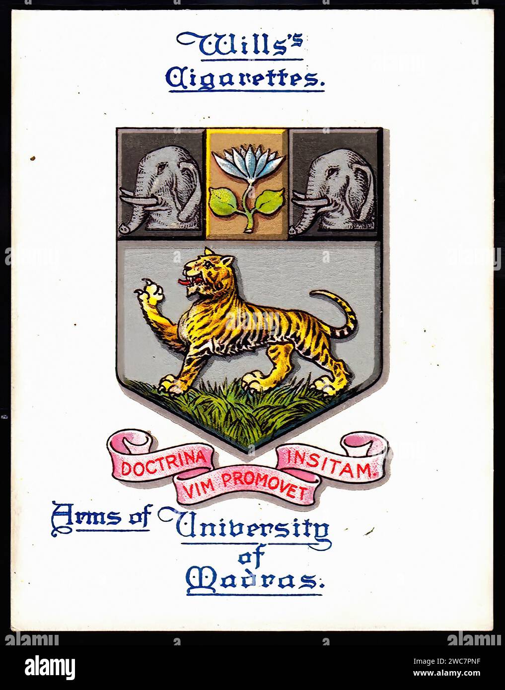 Madras University Logo