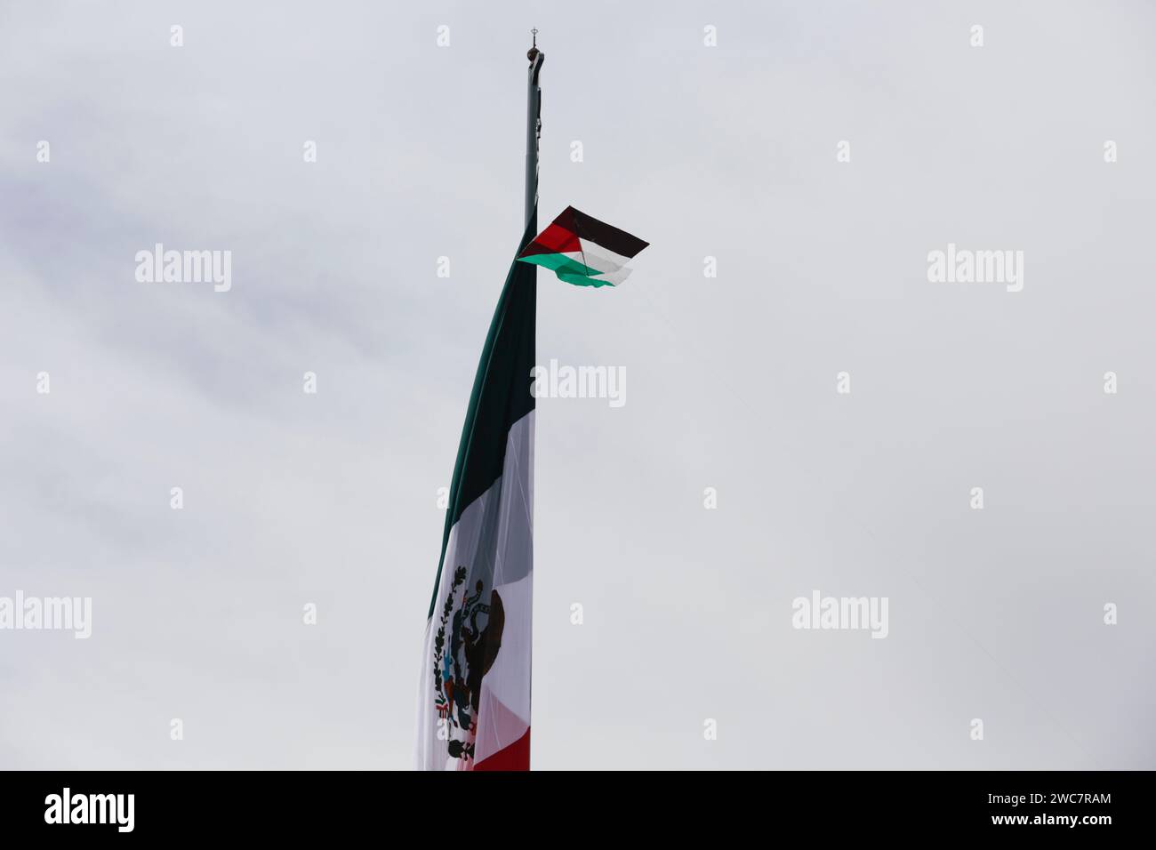 Blank Mexico Flag To Color
