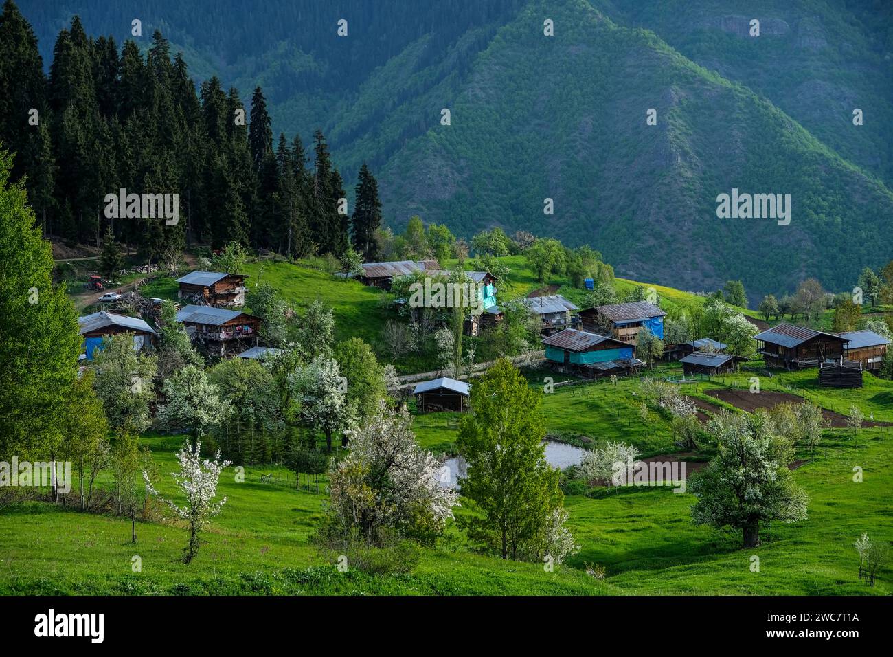 A typical village settlement with traditional houses in Şavşat district ...