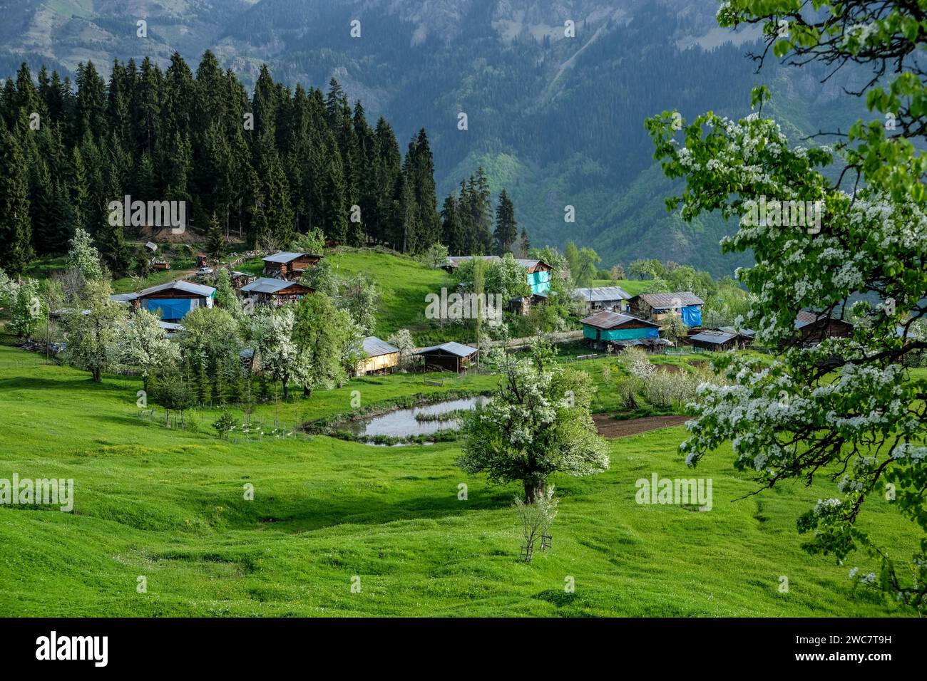 A typical village settlement with traditional houses in Şavşat district ...