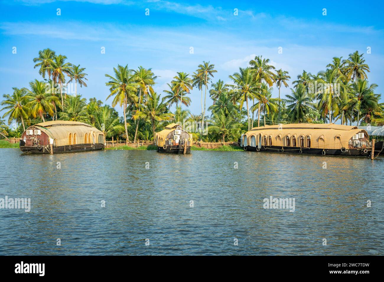Indian traditional houseboats anchored at Pamba river coastline, with ...