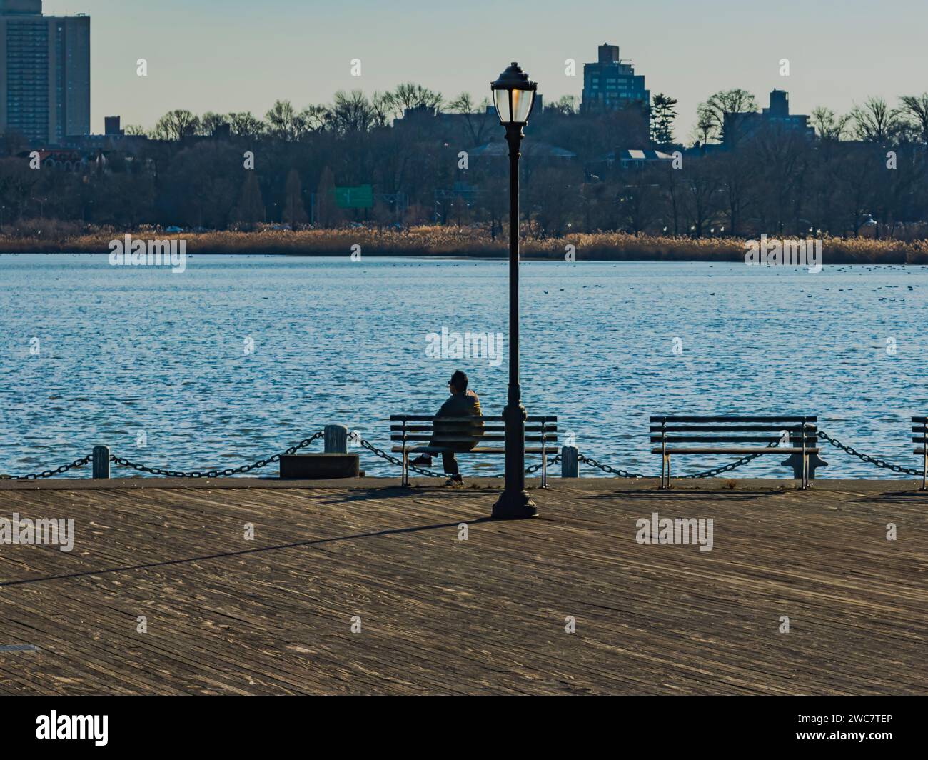 An individual peacefully seated on a bench, enjoying the serene ...
