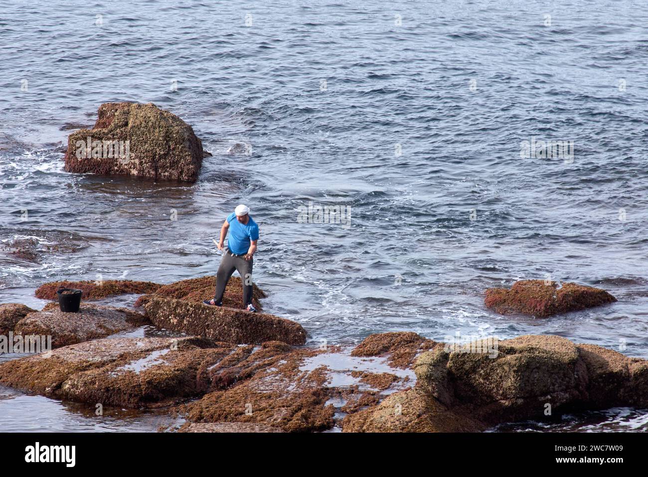 The barnacles use a scraper to collect the barnacles that are stuck to ...