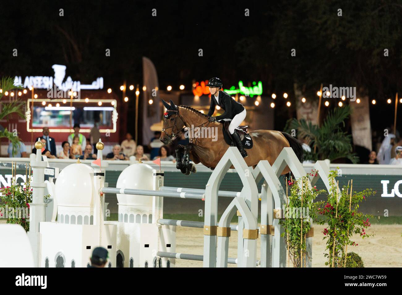 Horse antonia pettersson haggstrom hi-res stock photography and images ...