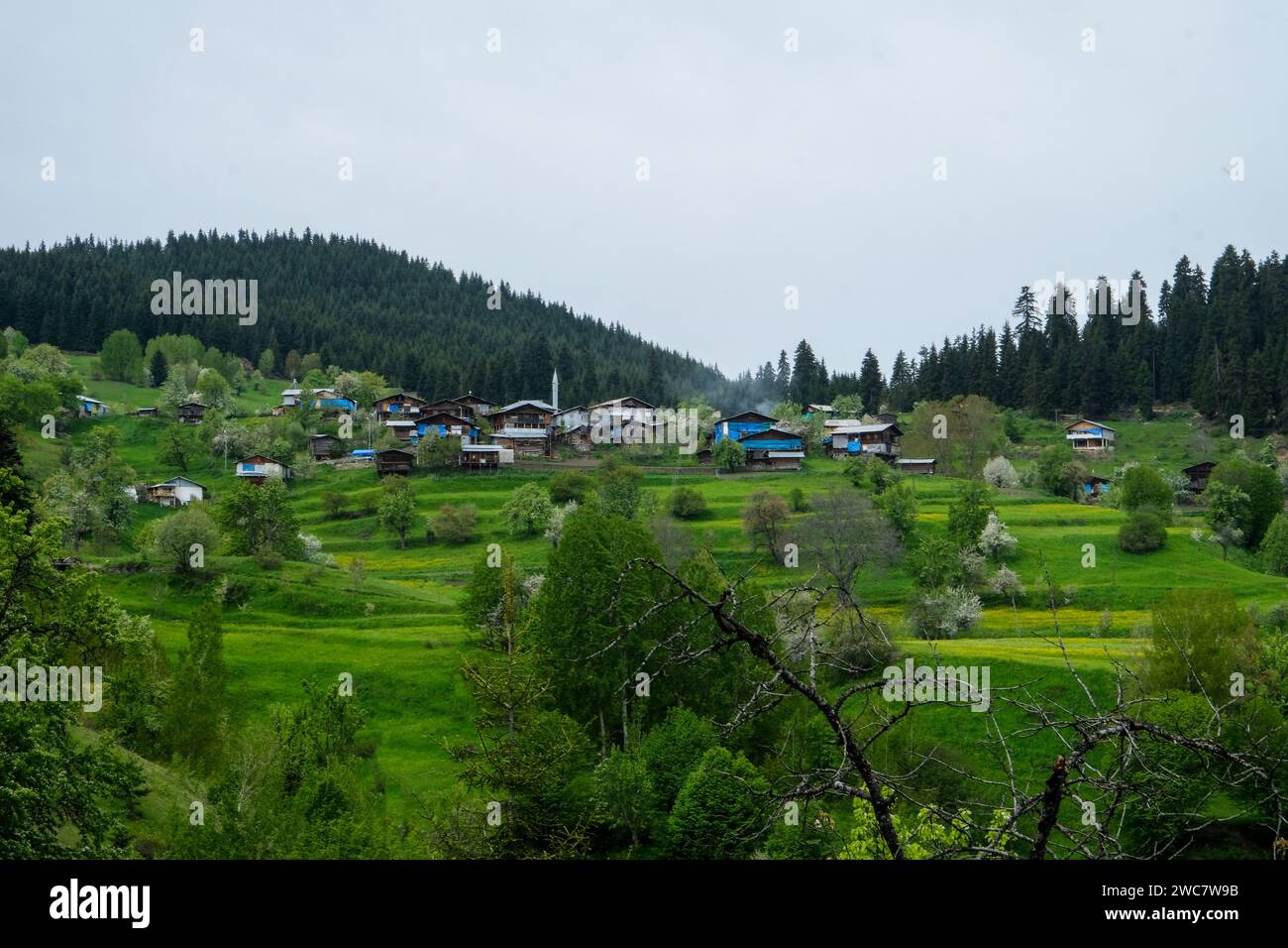A typical village settlement with traditional houses in Şavşat district ...