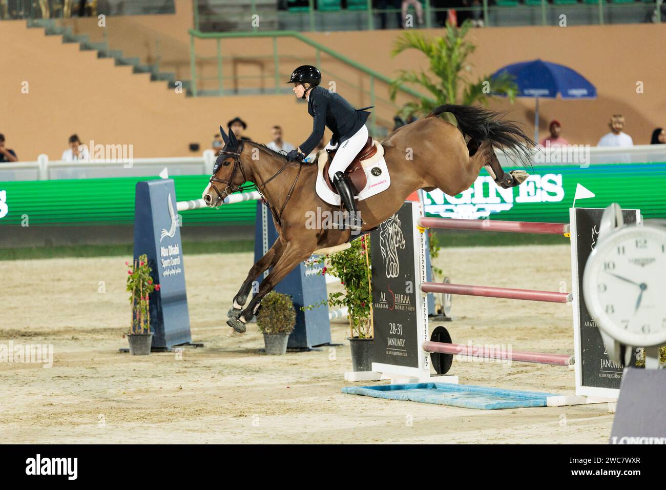 Wannius equestrian hi-res stock photography and images - Alamy