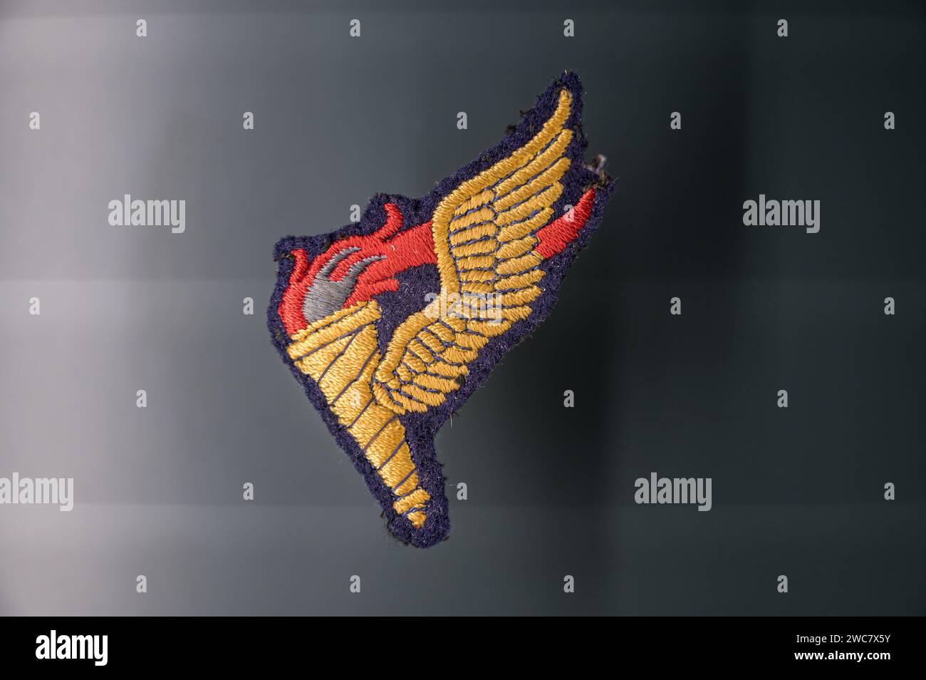 Detail of embroidered WW2 AMERICAN PATHFINDER Wing insignia Stock Photo ...