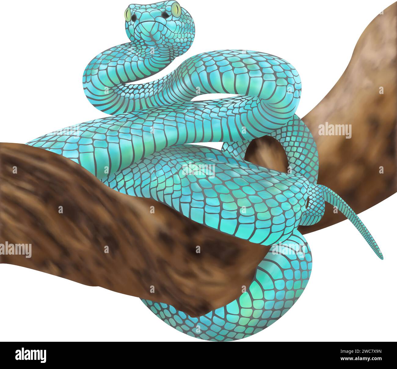 Amazon rainforest animals Stock Vector Images - Alamy