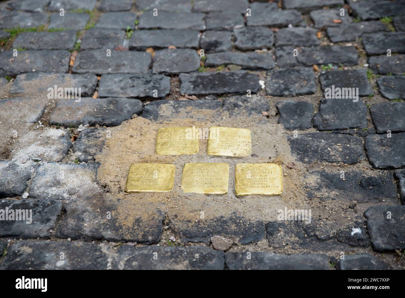 Rome, Italy. 14th Jan, 2024. The new Stolpersteine in front of the ...