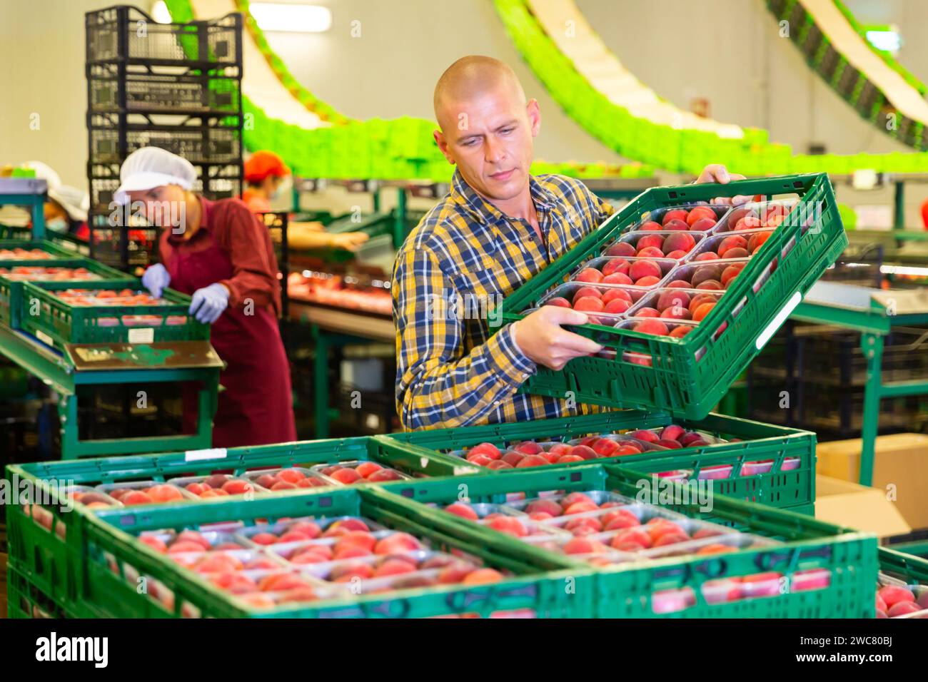American fruit packing hi-res stock photography and images - Alamy