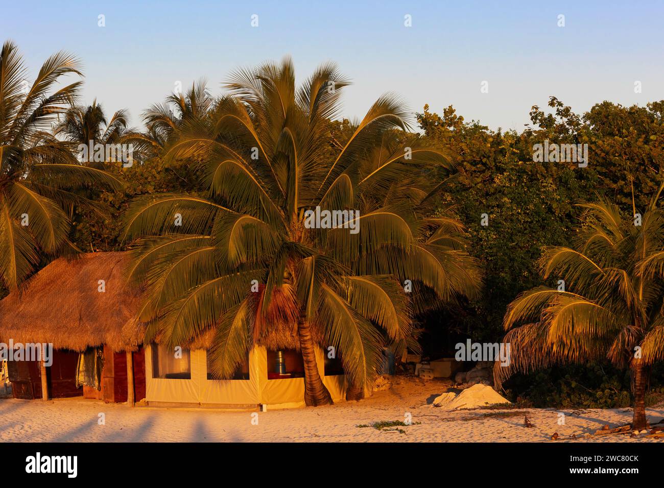 Tree hut on beach hi-res stock photography and images - Alamy