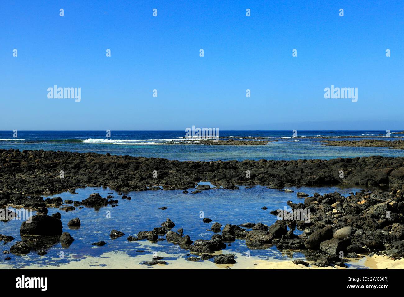 Atlantic tidal rock pools near El Cotillo, Fuerteventura, November 2023 ...